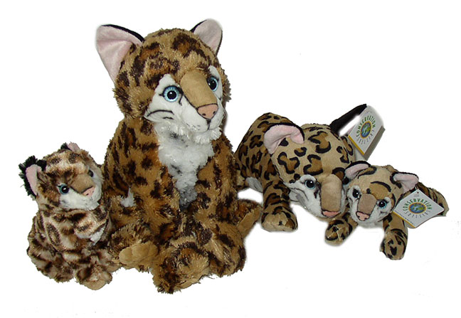 Get Ocelot stuffed animals, facts and information at Animalsnmore.